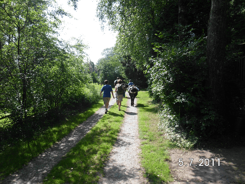 Foto Wandelen